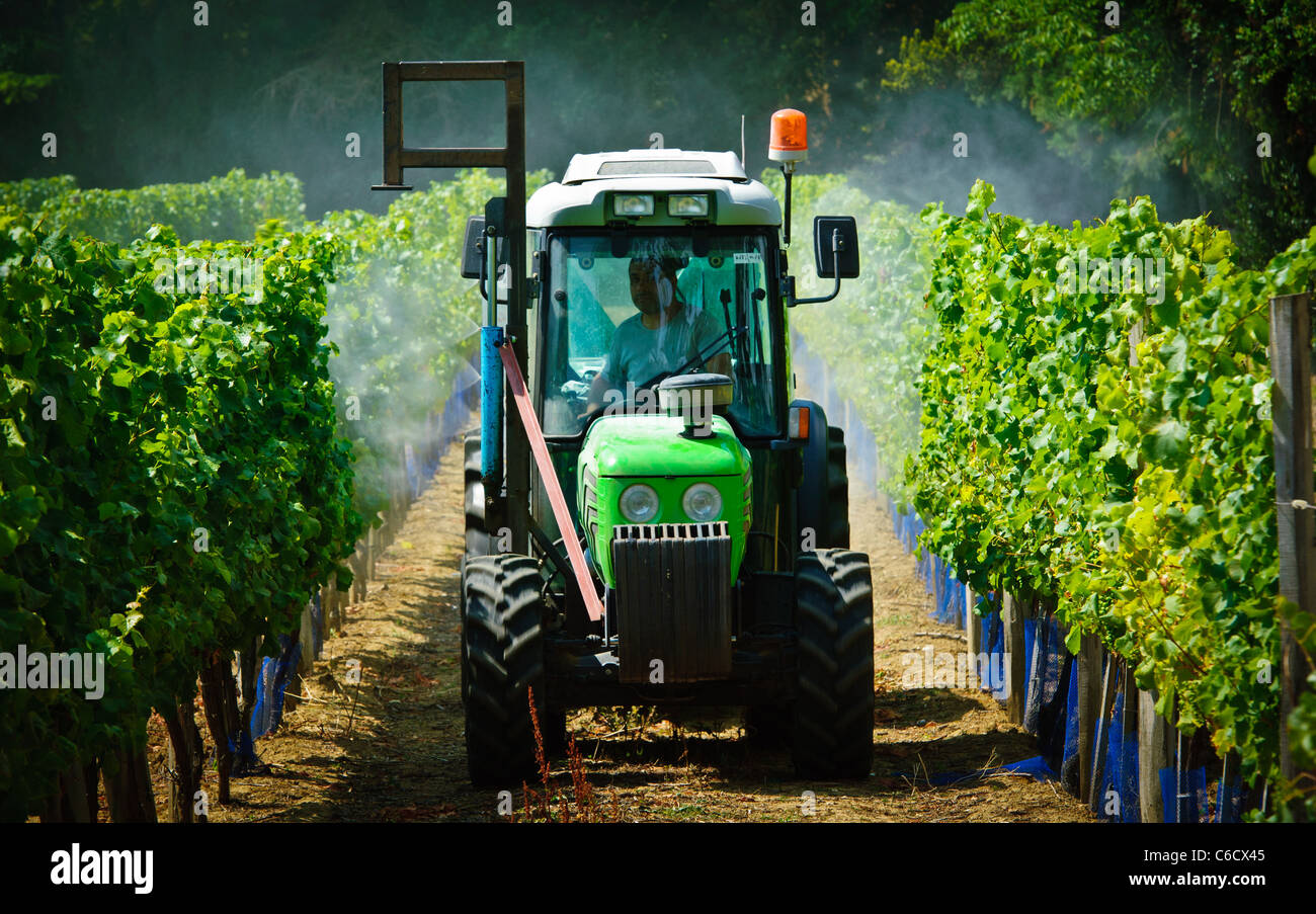 Vineyard water irrigation hi-res stock photography and images - Alamy