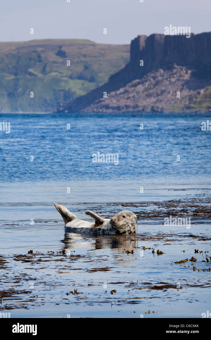 Cliffs of rathlin island hi-res stock photography and images - Alamy