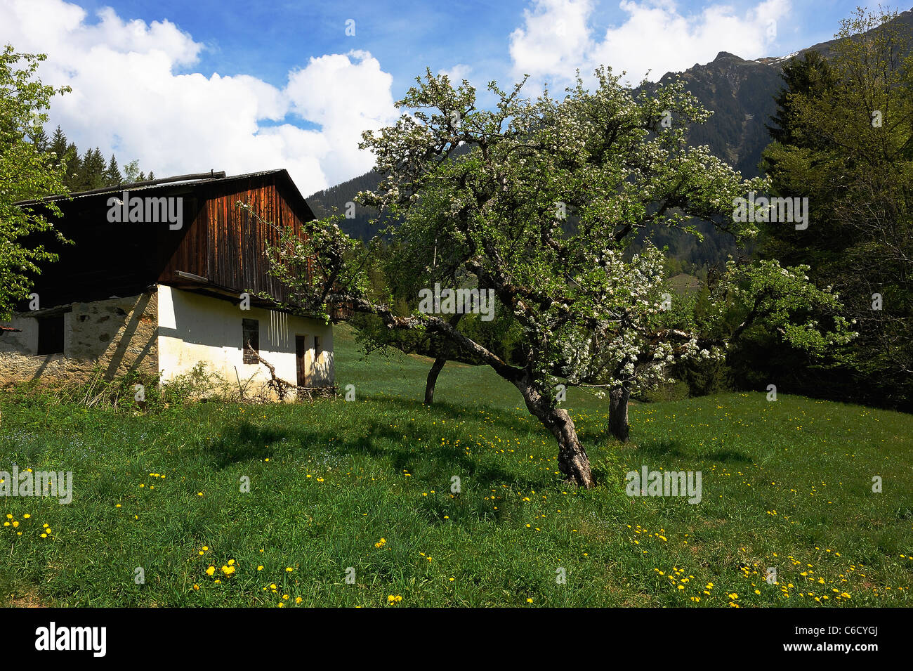 Farm in the alps hi-res stock photography and images - Alamy