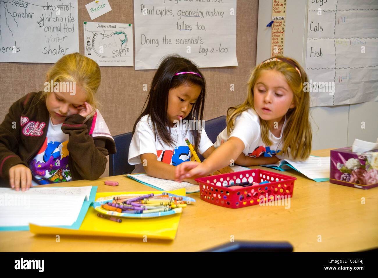 Girls teen school project hi-res stock photography and images - Alamy