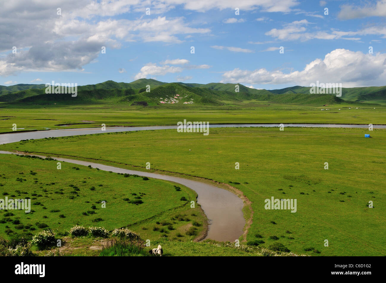 A meandering river channel runs through flood plain. Sichuan, China ...
