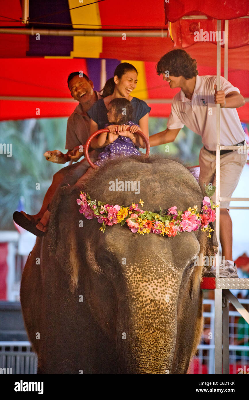 Girl riding an elephant hi-res stock photography and images - Alamy