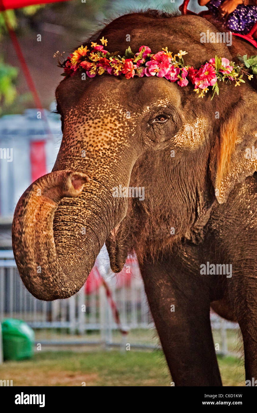 A costumed elephant is decorated with flowers at the amusement park of ...