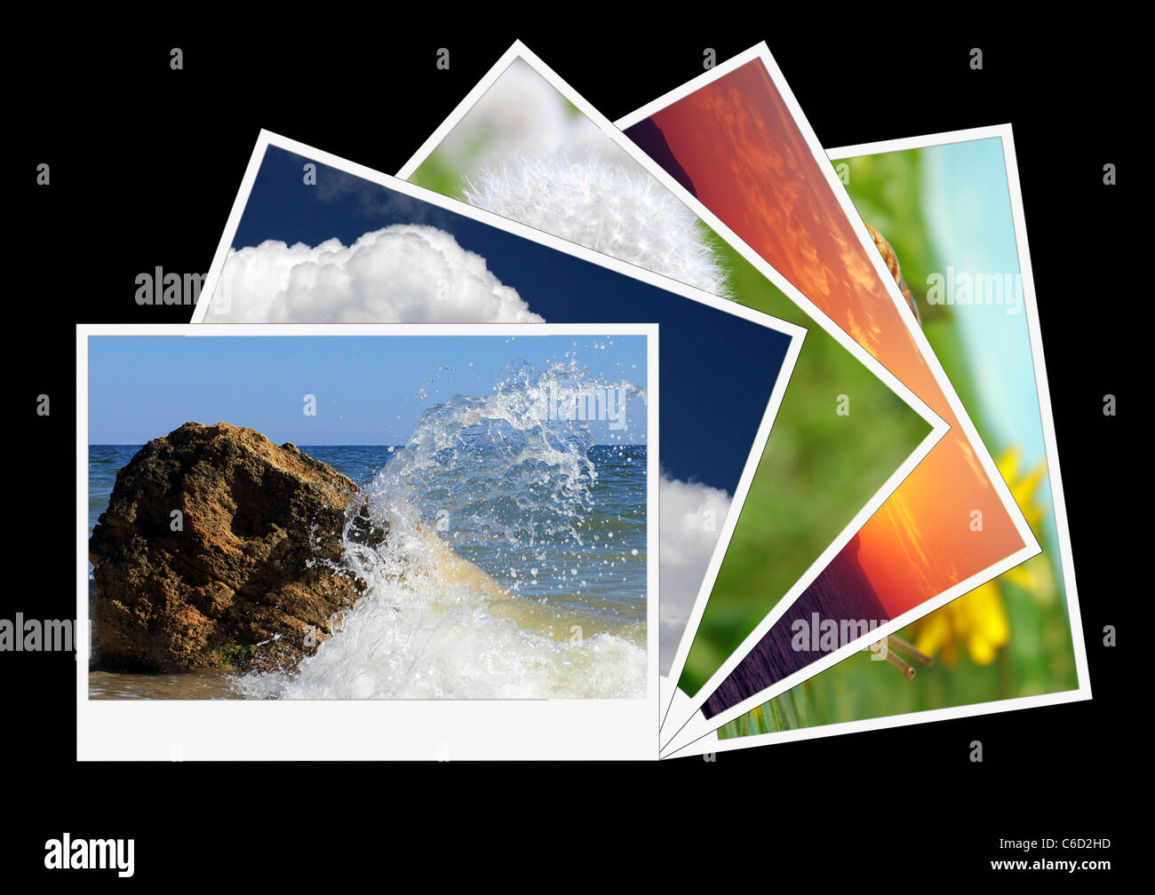 photo shots of nature isolated on black Stock Photo - Alamy