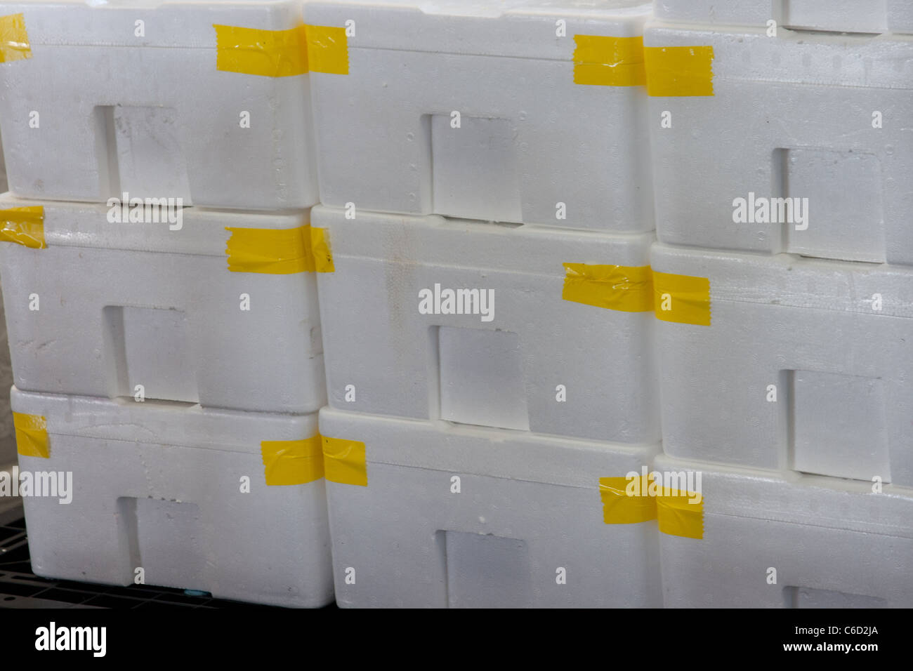 Styrofoam container hi-res stock photography and images - Alamy