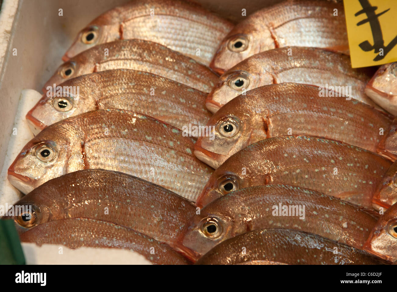 Fish for Sale Stock Photo - Alamy