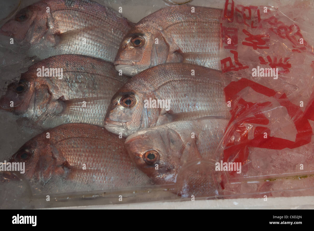 Fish for Sale Stock Photo - Alamy