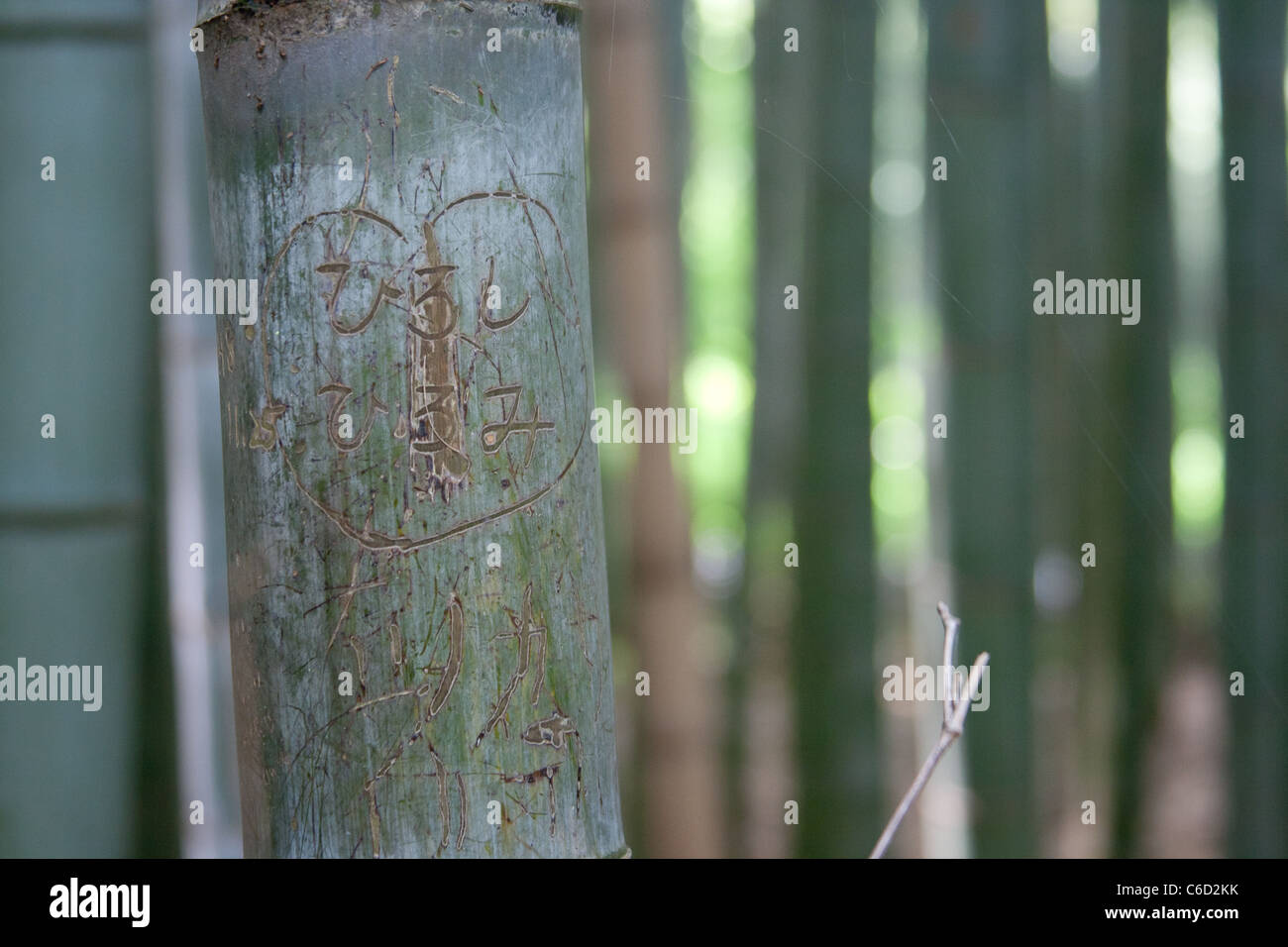 Secret bamboo hi-res stock photography and images - Alamy