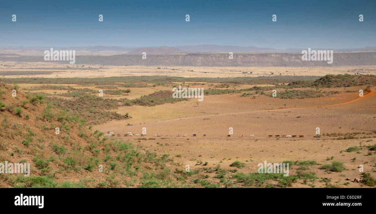 Nazret ethiopia hi-res stock photography and images - Alamy