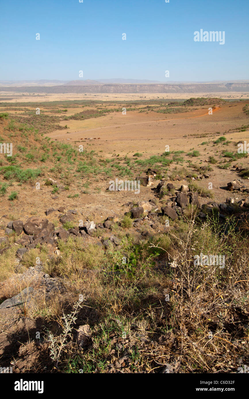 Landscape of the Great Rift Valley near Nazret in Eastern Ethiopia ...