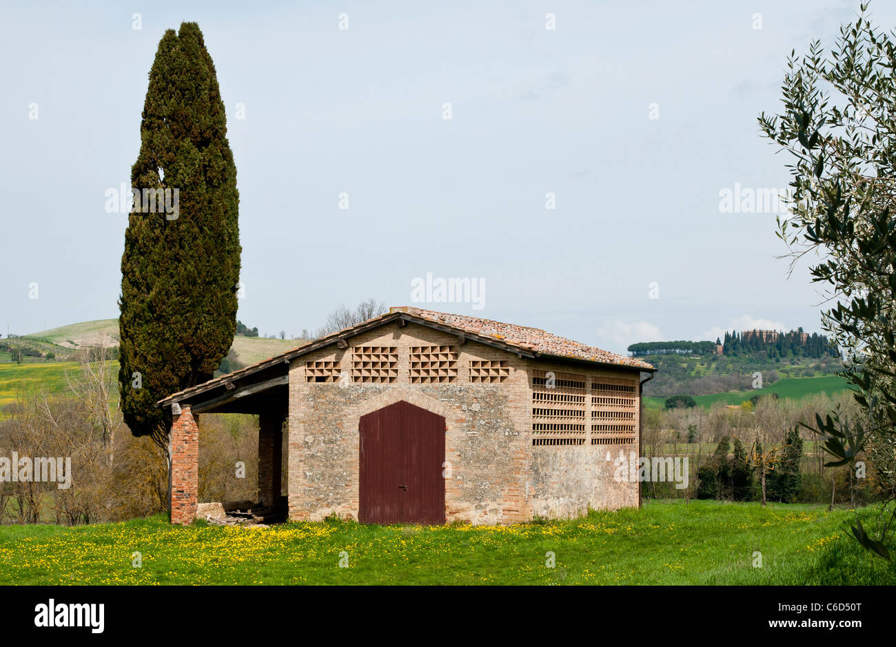 Barn and Pigeon loft, near S Giovanni d'Asso, Tuscany, Italy Stock ...