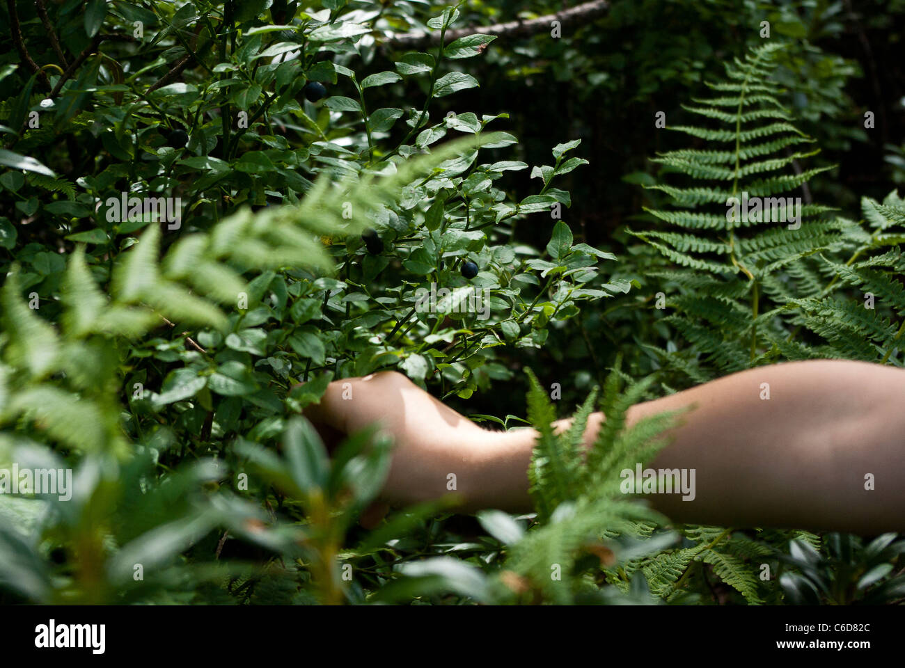 hand of child in nature Stock Photo - Alamy