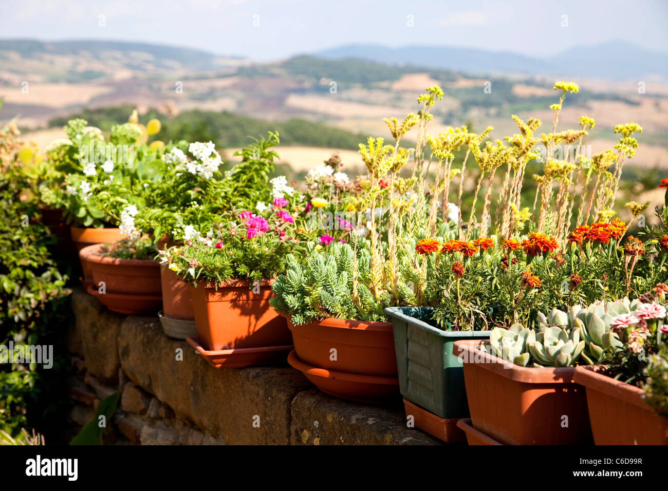 Tuscany flowers flower pot hi-res stock photography and images - Alamy