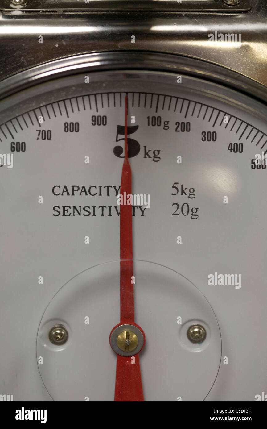 Professional Kitchen Weighing scales showing Capacity of 5kg and ...