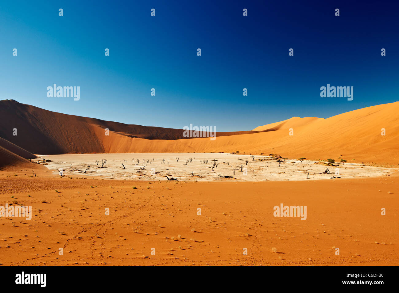 Dry salt lake hi-res stock photography and images - Alamy