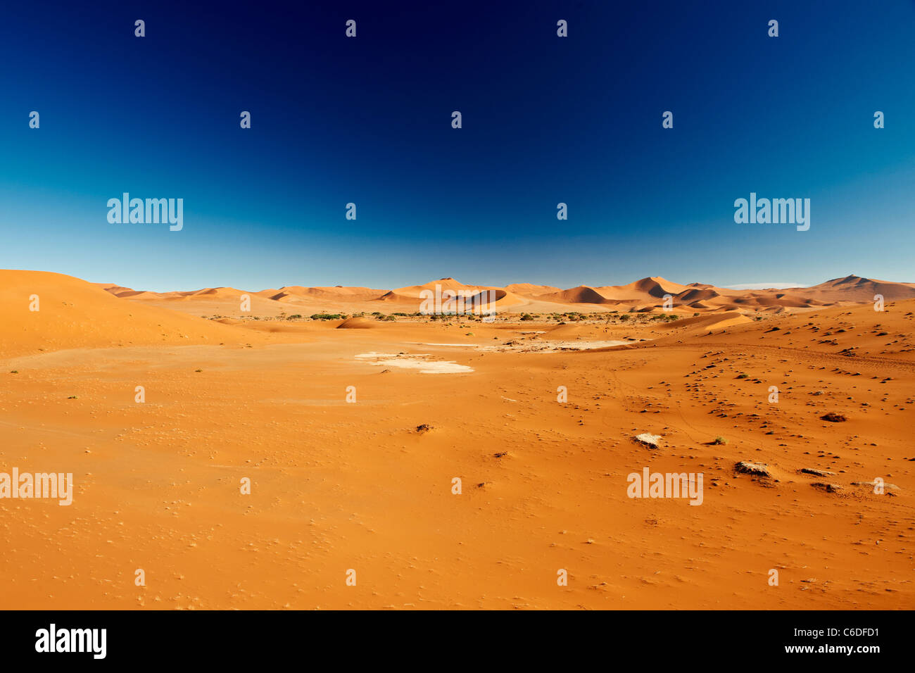 famous Deadvlei with dead trees in dry salt lake, desert landscape of ...