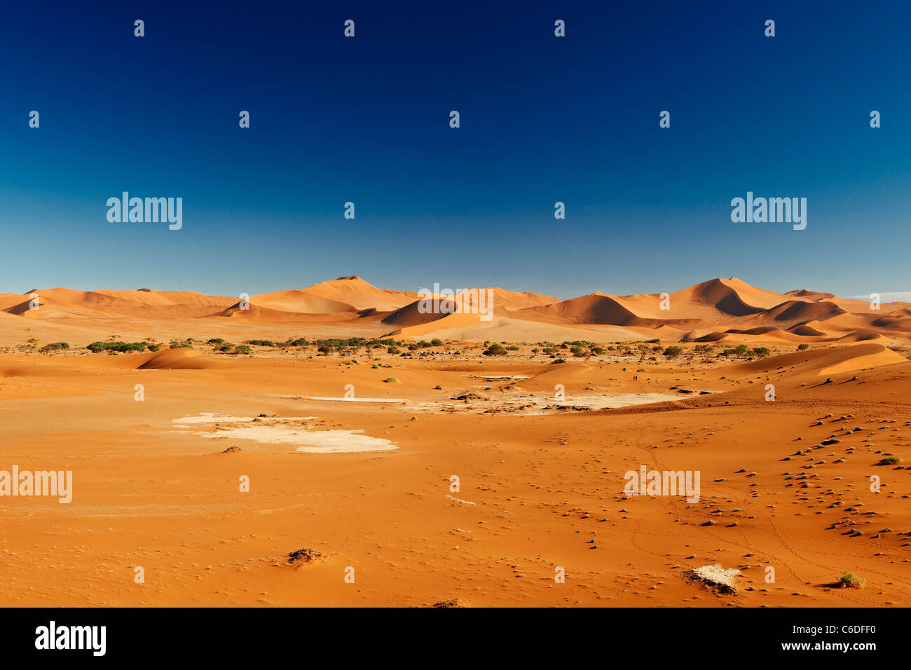 famous Deadvlei with dead trees in dry salt lake, desert landscape of ...