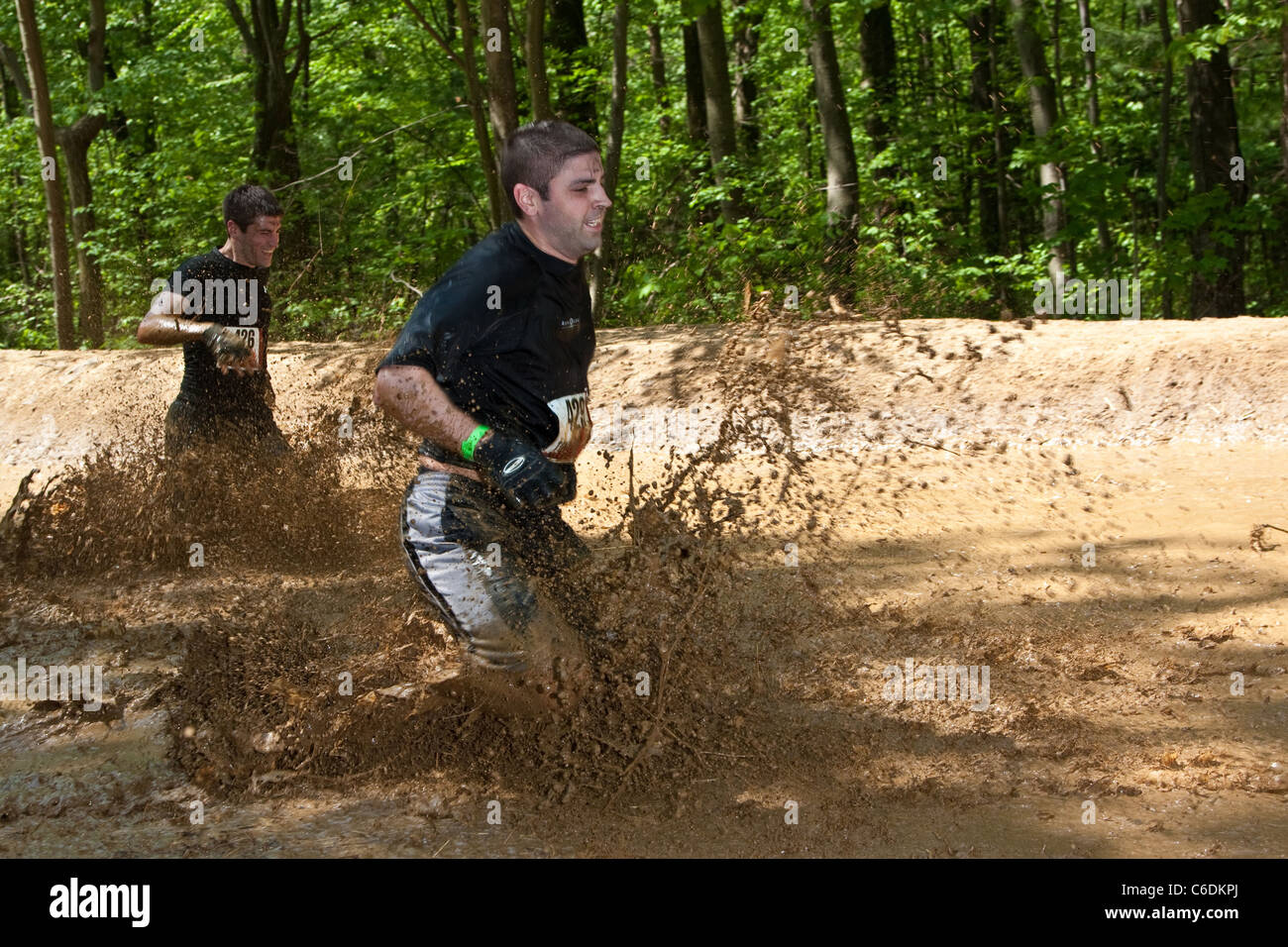Bear swamp creek hi-res stock photography and images - Alamy