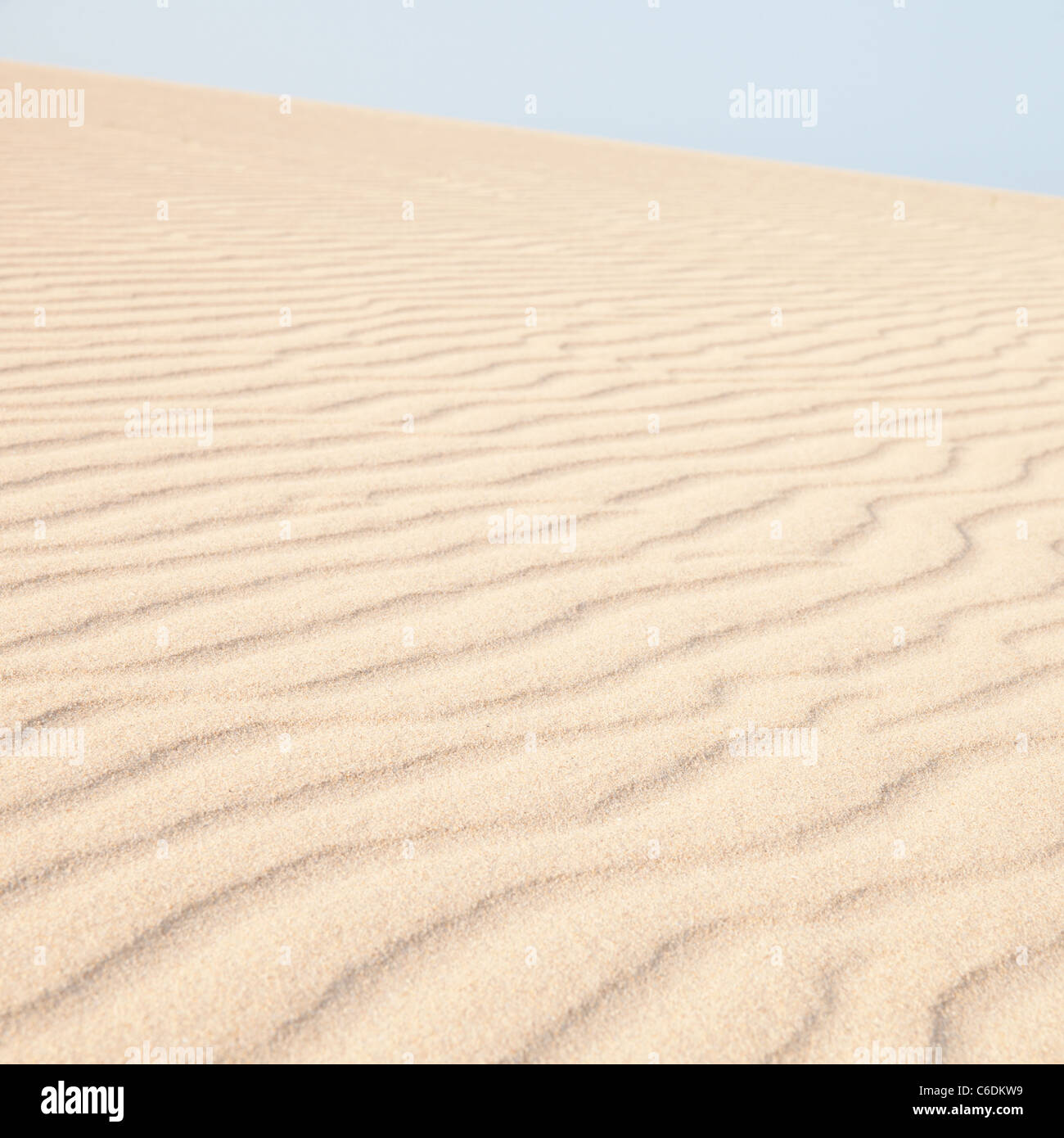 sand surface with regural wind pattern Stock Photo - Alamy