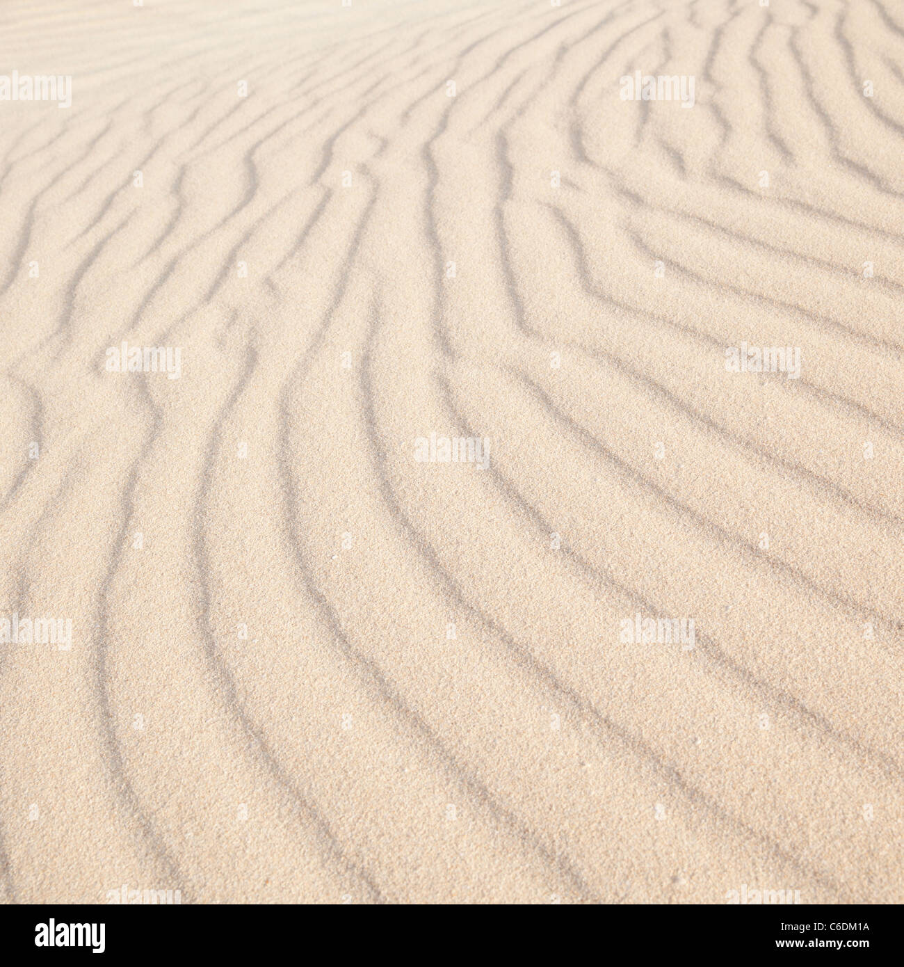 sand surface with regural wind pattern Stock Photo - Alamy