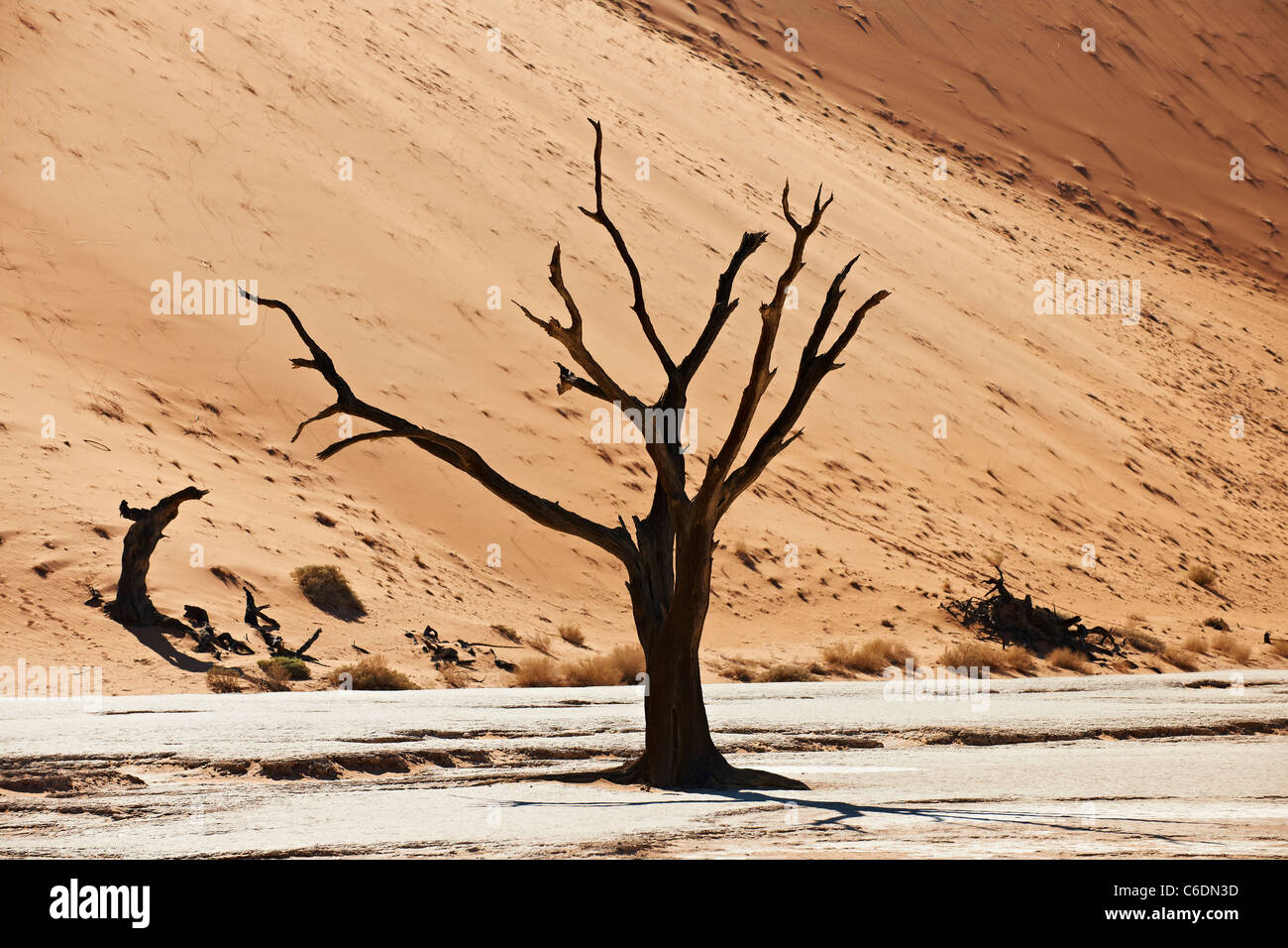 famous Dead vlei with dead trees in dry salt lake, desert landscape of ...