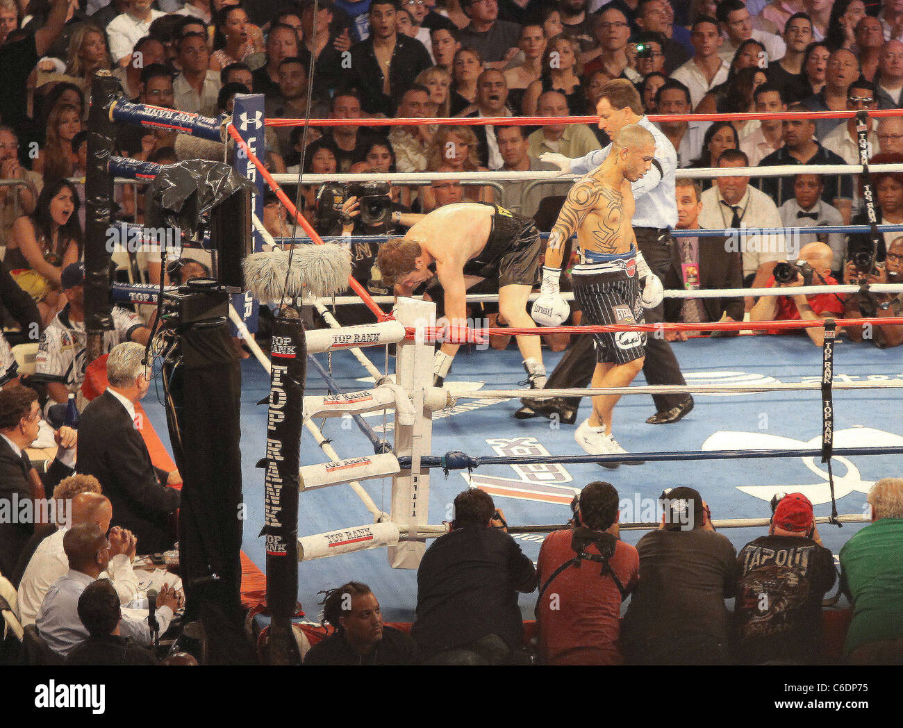 Miguel Cotto beats junior middleweight champ Yuri Foreman in the 9th ...