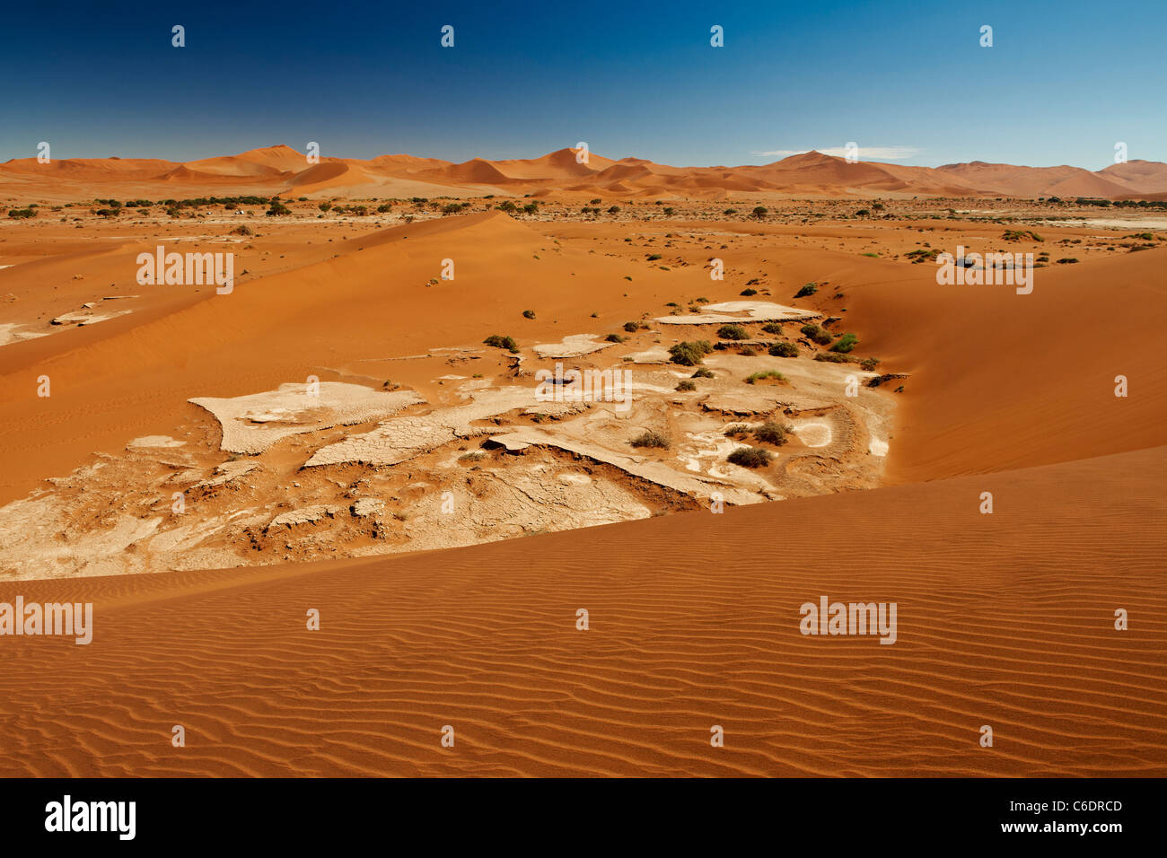 desert landscape of Namib with dunes and red sand at Sossusvlei, Namib ...