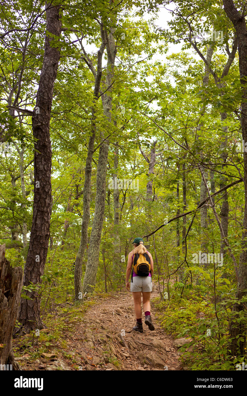 APPALACHIAN TRAIL, VIRGINIA, USA - Woman hiker on trail to McAfee Knob ...