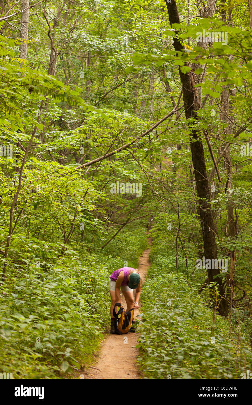APPALACHIAN TRAIL, VIRGINIA, USA - Woman hiker on trail to McAfee Knob ...
