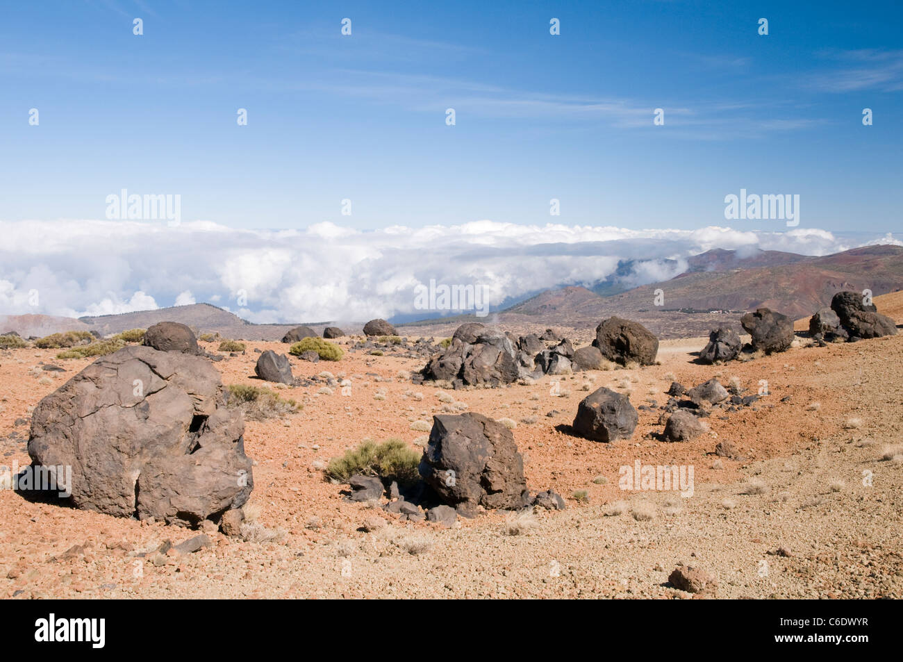 Tenerife eggs hi-res stock photography and images - Alamy