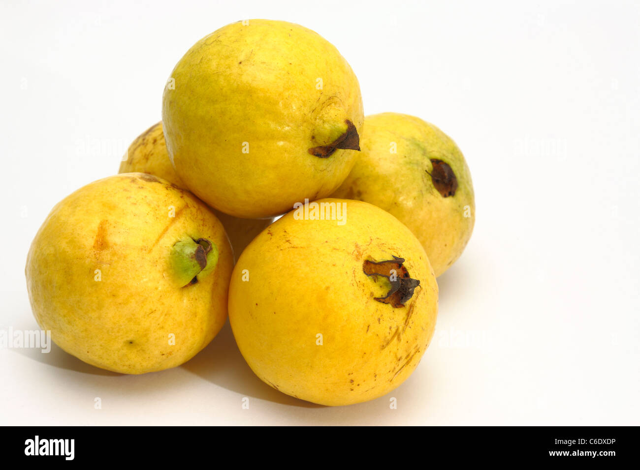 Guava fruits on white background Stock Photo - Alamy