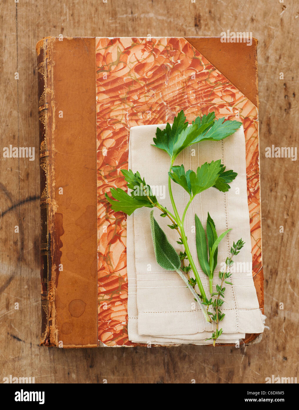 Leaf on antique journal Stock Photo - Alamy