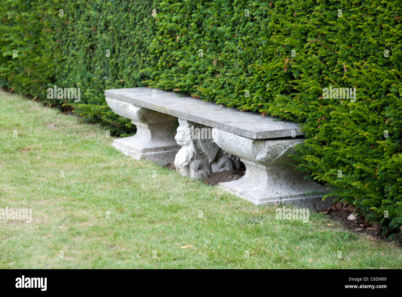 An old stone bench nestling under a Yew hedge Stock Photo - Alamy