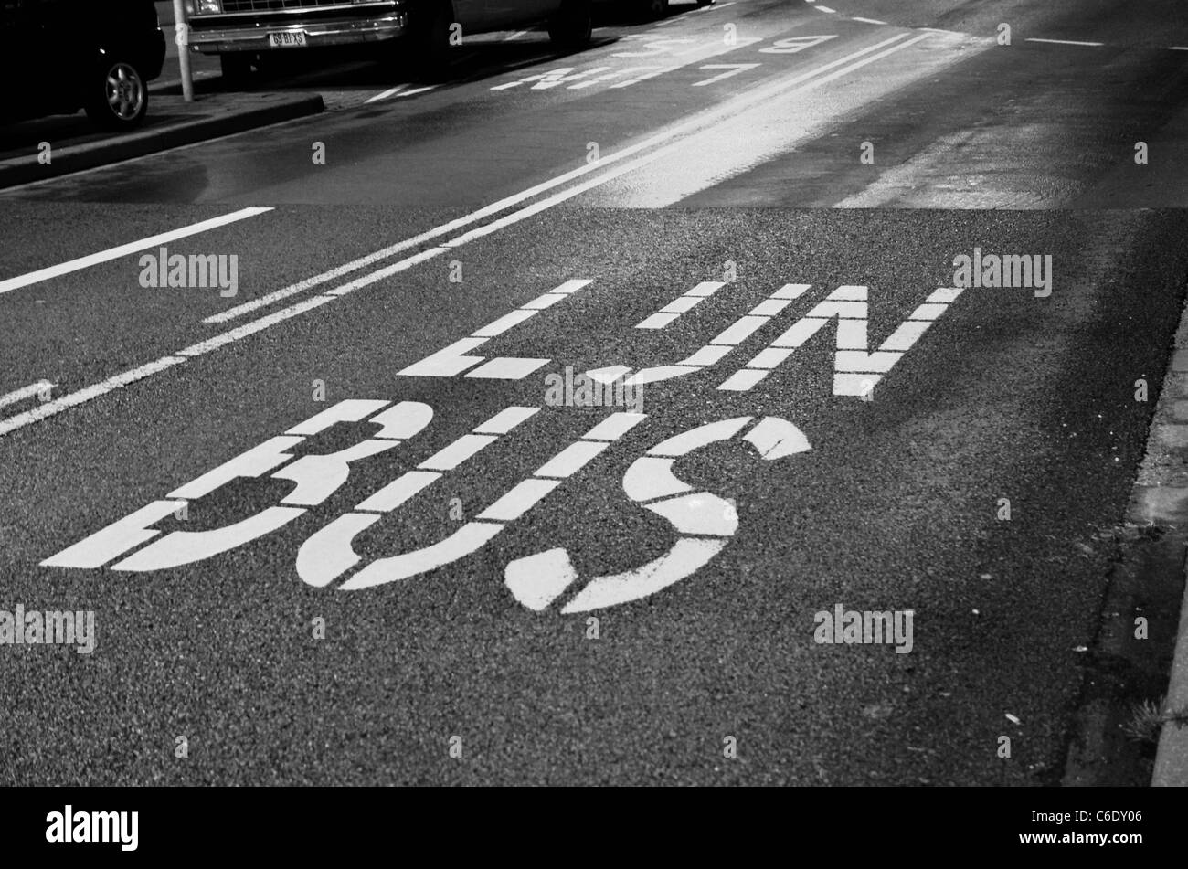 Lijn Bus print indicating a special road for buses Stock Photo - Alamy