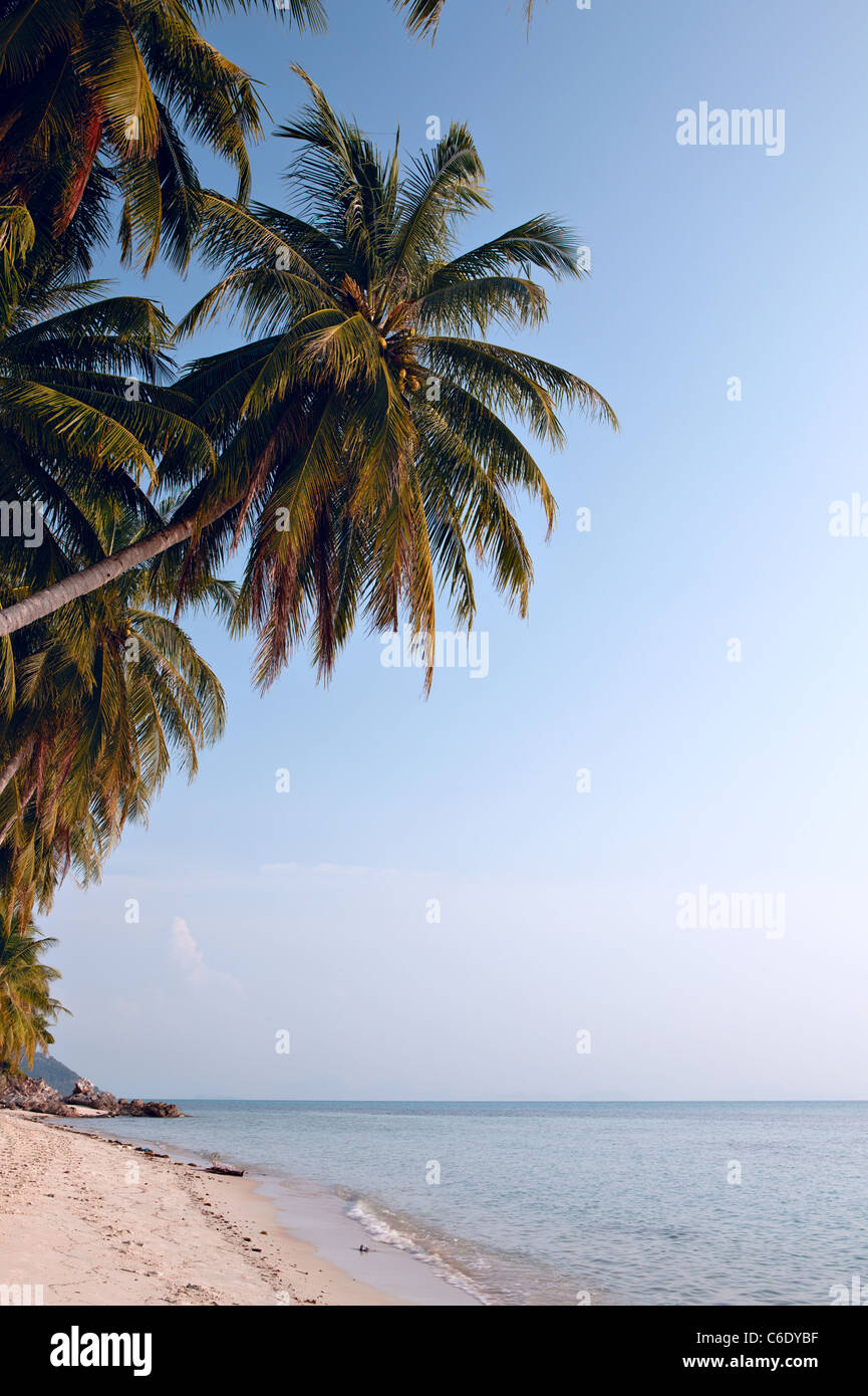 Koh Samui beach, Thailand Stock Photo - Alamy