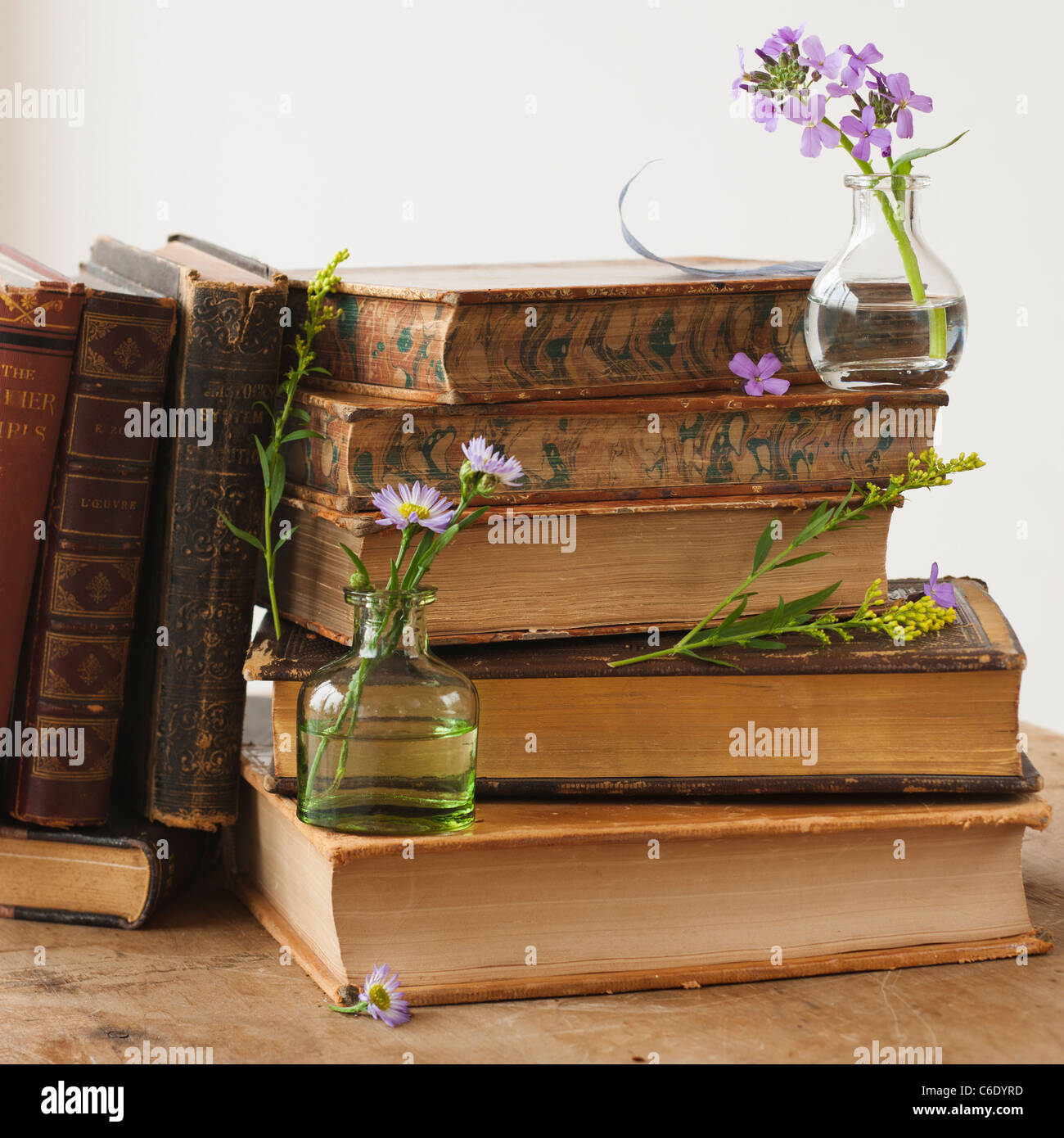 Flowers on old books Stock Photo - Alamy
