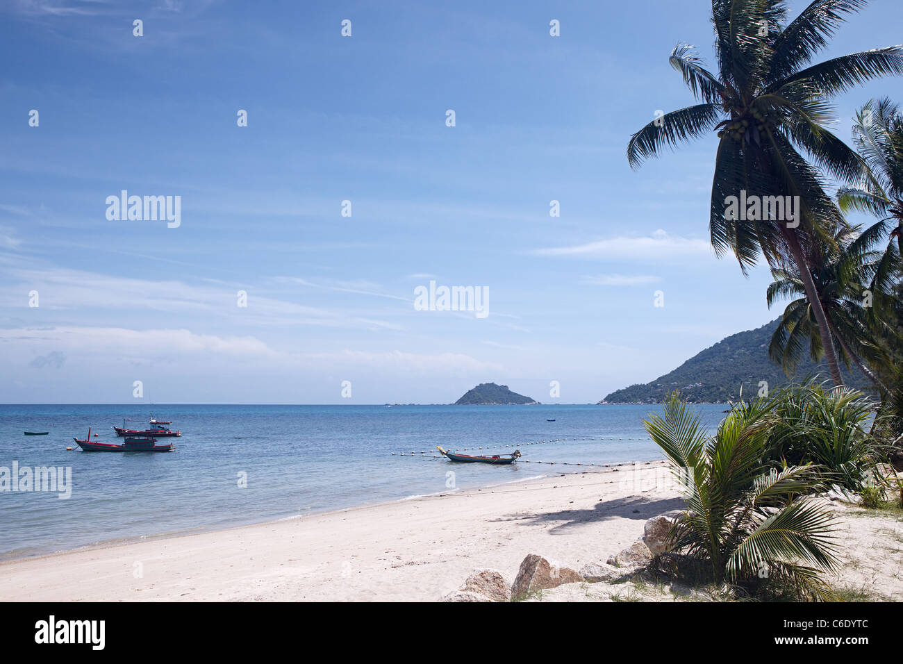 Tropical beach. Koh Tao, Thailand Stock Photo - Alamy