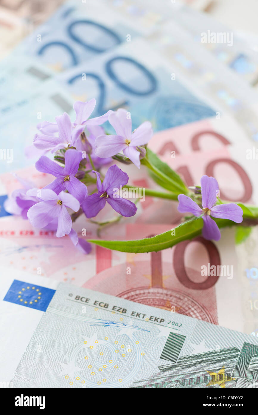 Flowers on European union banknotes Stock Photo - Alamy