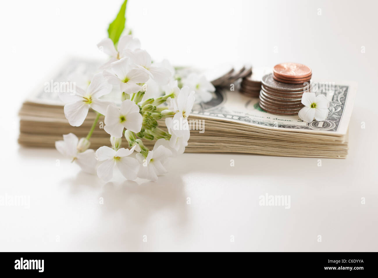 Flowers and coins on pile of dollar bills Stock Photo - Alamy
