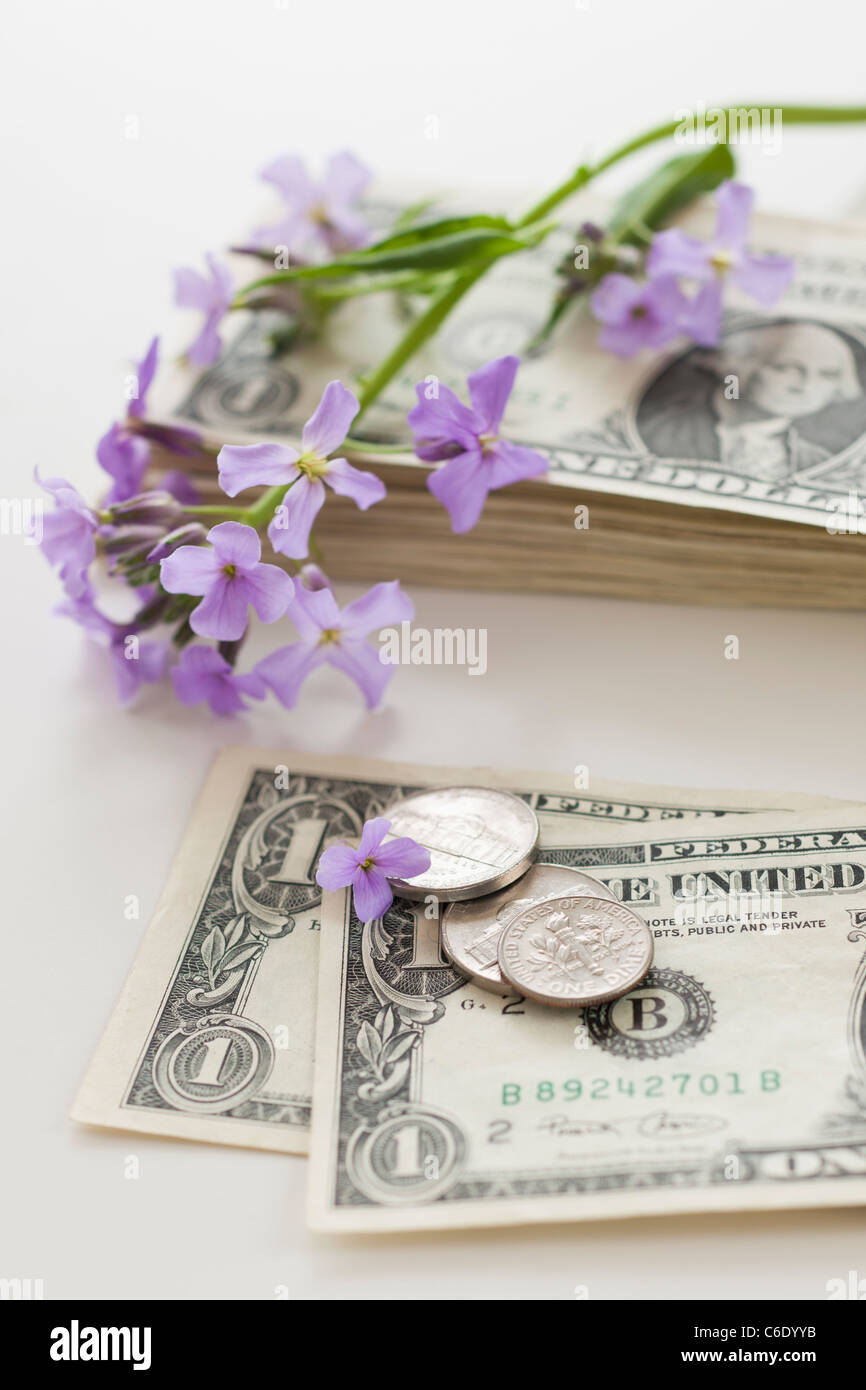 Flowers and coins on dollar bills Stock Photo - Alamy