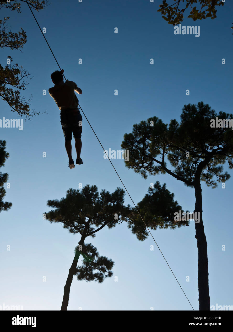 High wire, aerial adventures in the forest, tightrope walking fun Stock ...