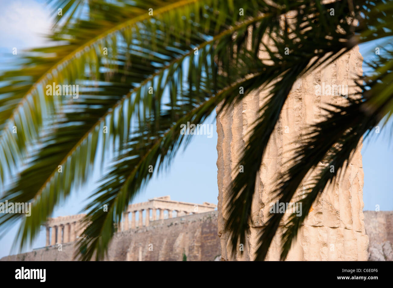 Palm leaf column hi-res stock photography and images - Alamy