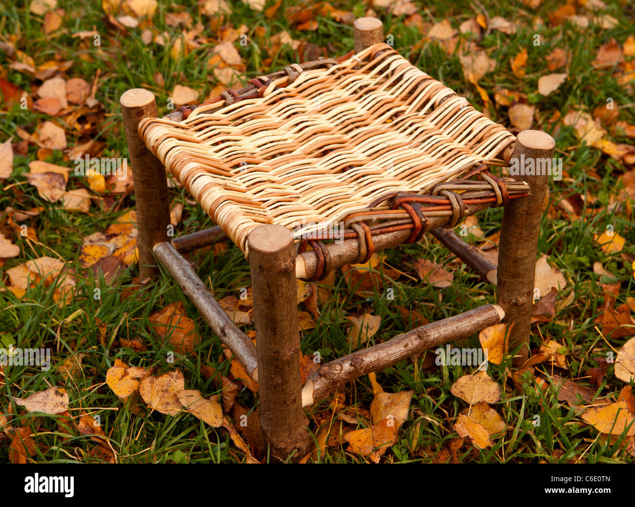Hazel frame stool with woven willow seat amongst autumn leaves Stock ...