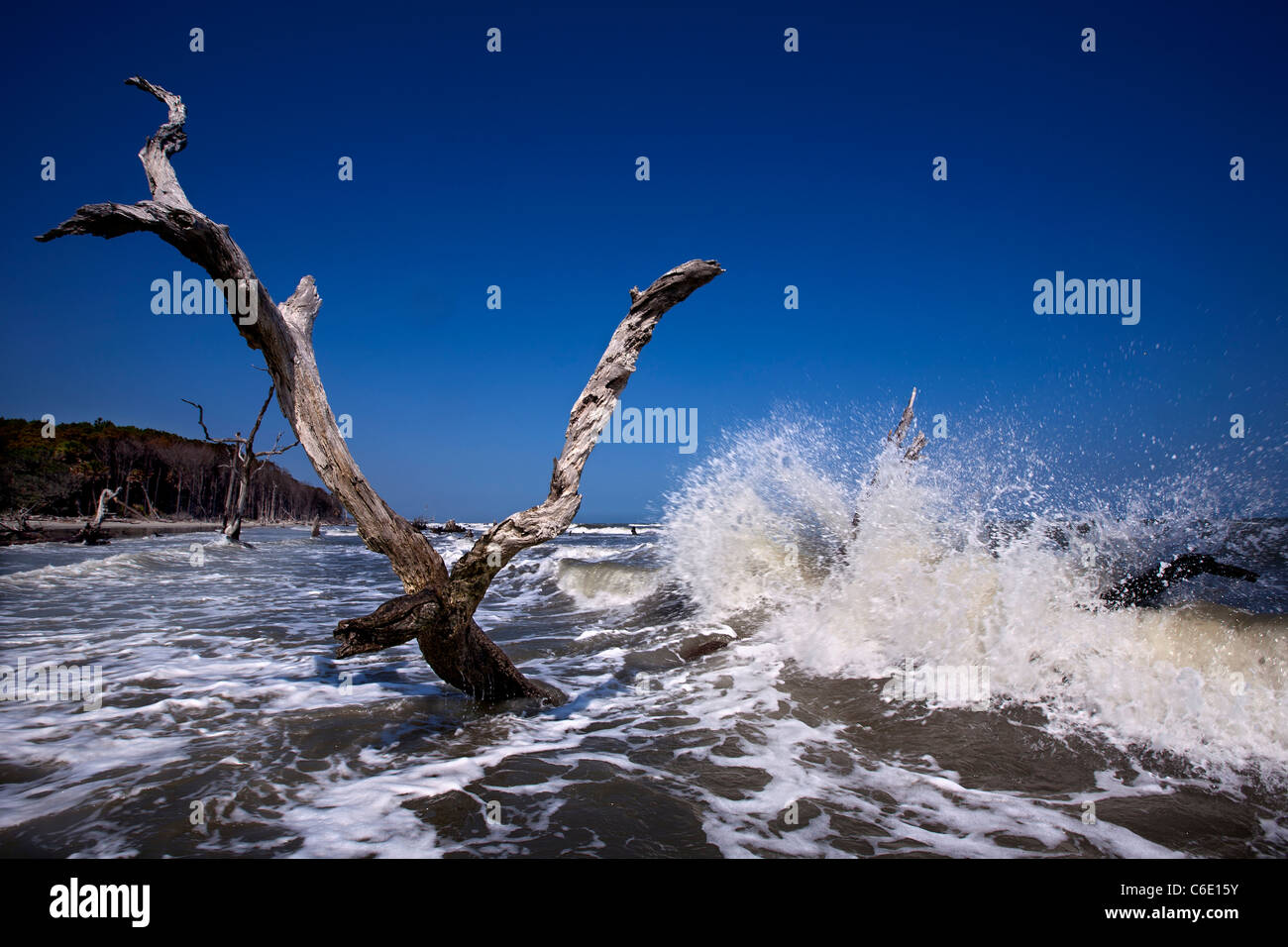 Capers island carolina hi-res stock photography and images - Alamy