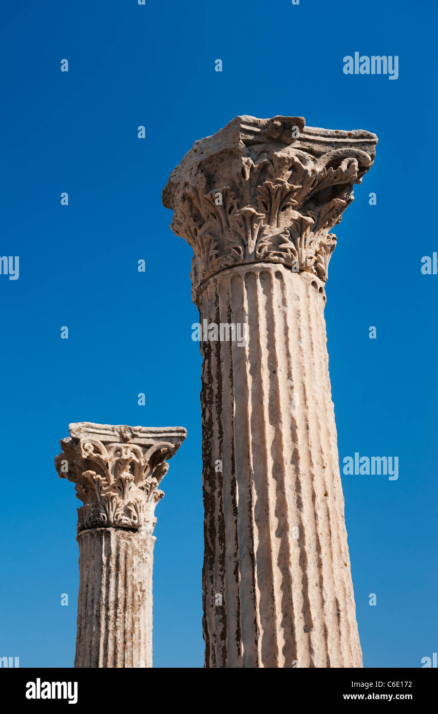 Turkey, Ephesus, Corinthian columns Stock Photo - Alamy