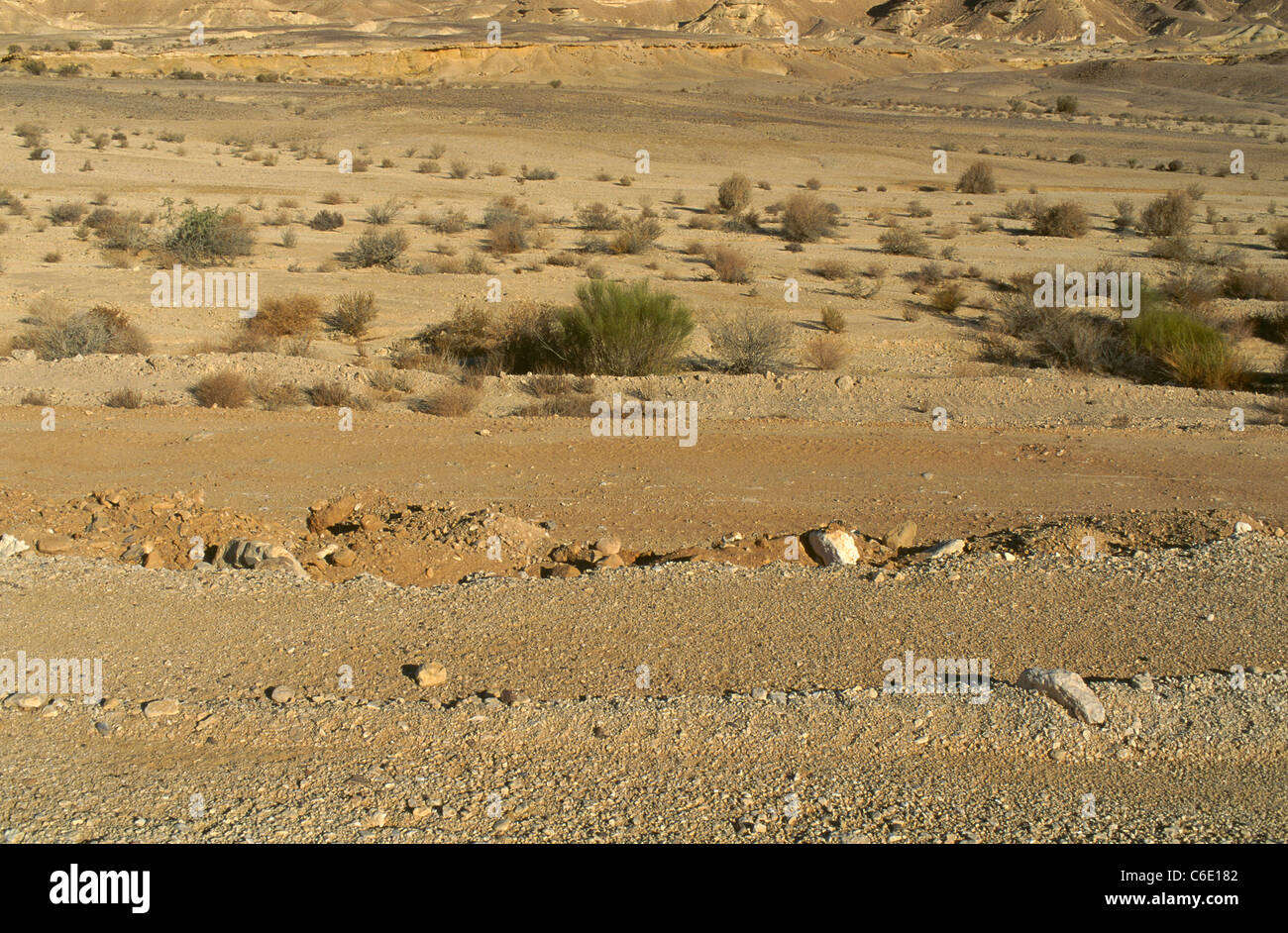 Parched desert land. Negev, Israel Stock Photo - Alamy