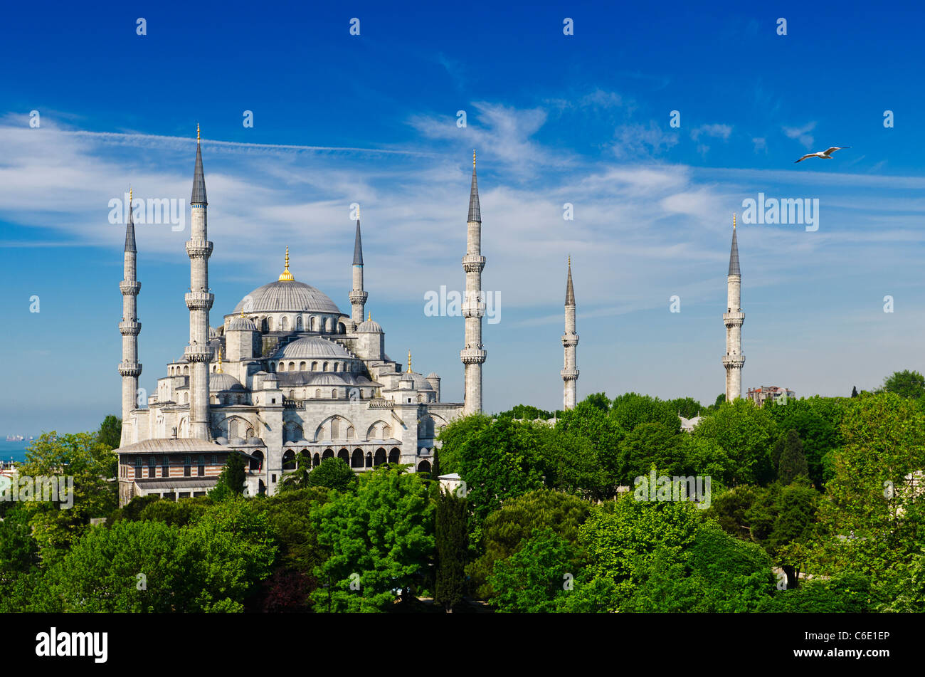 Turkey, Istanbul, Blue Mosque Stock Photo - Alamy