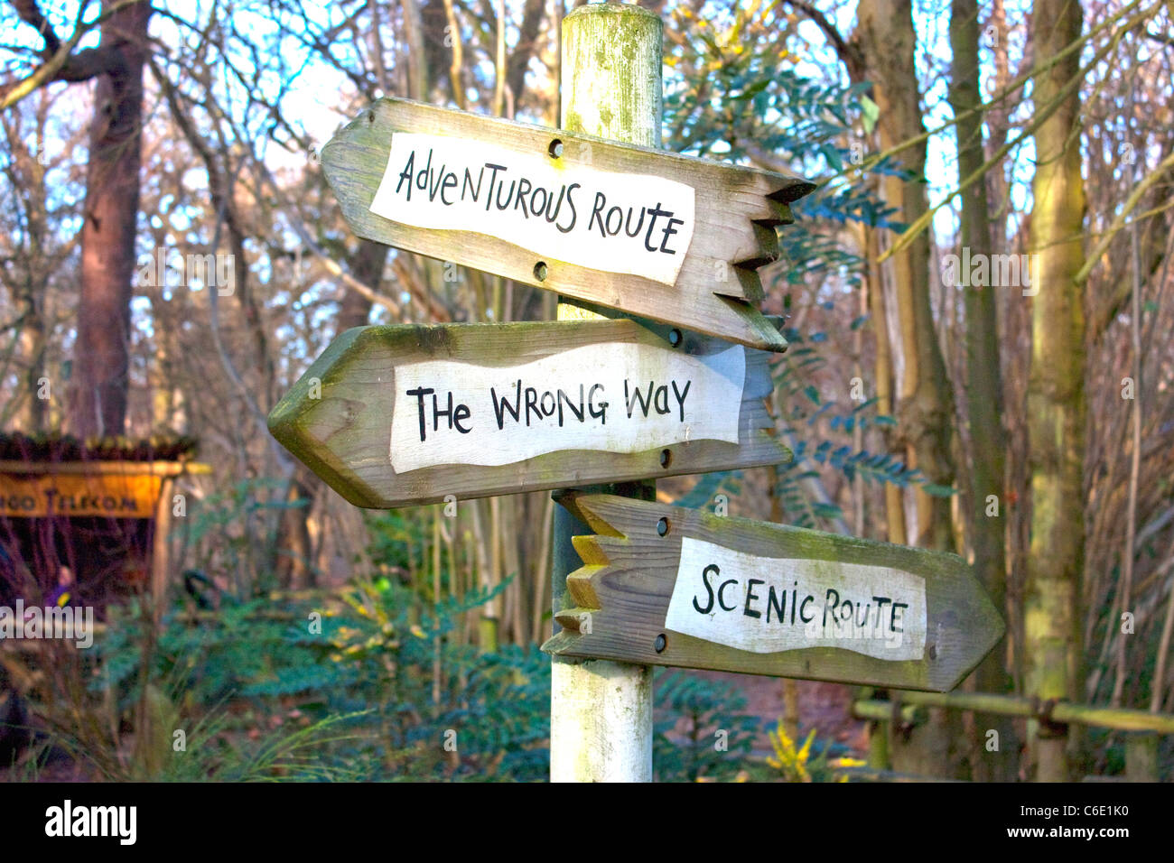 signs depicting choices in direction in the woods Stock Photo - Alamy