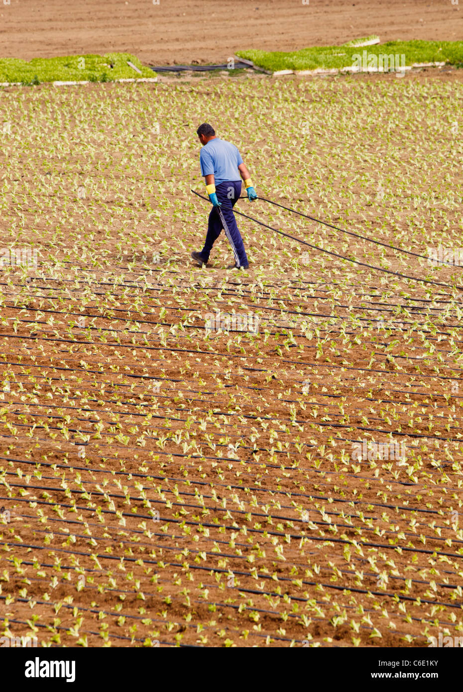 Dragging hose hi-res stock photography and images - Alamy