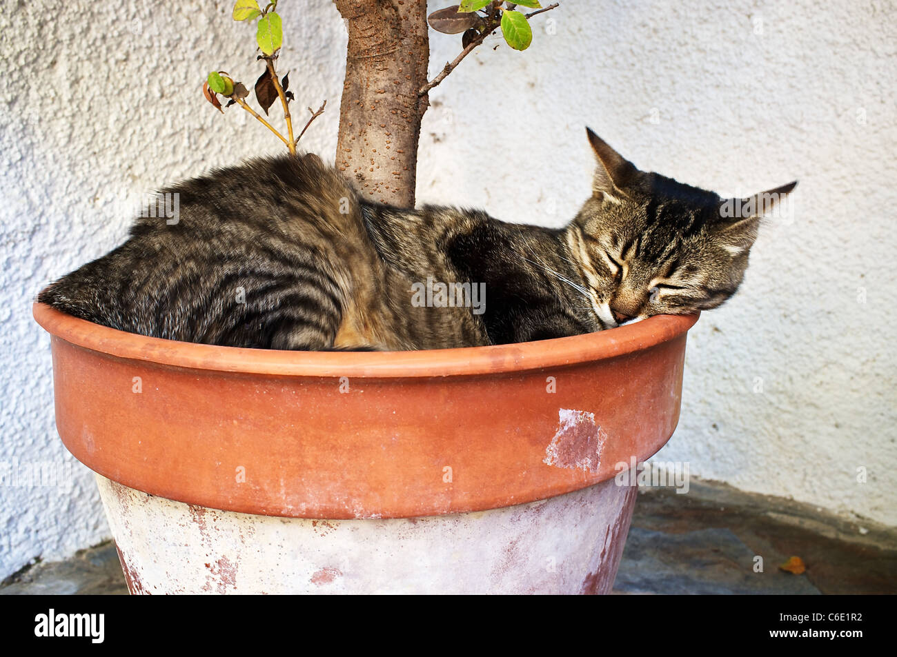 Rent an office space in 7-Eleven! : r/taiwan